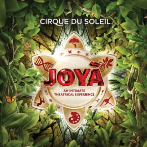 JOYÁ by Cirque du Soleil - The GRAND MAYAN, Voted the Best Resorts in ...
